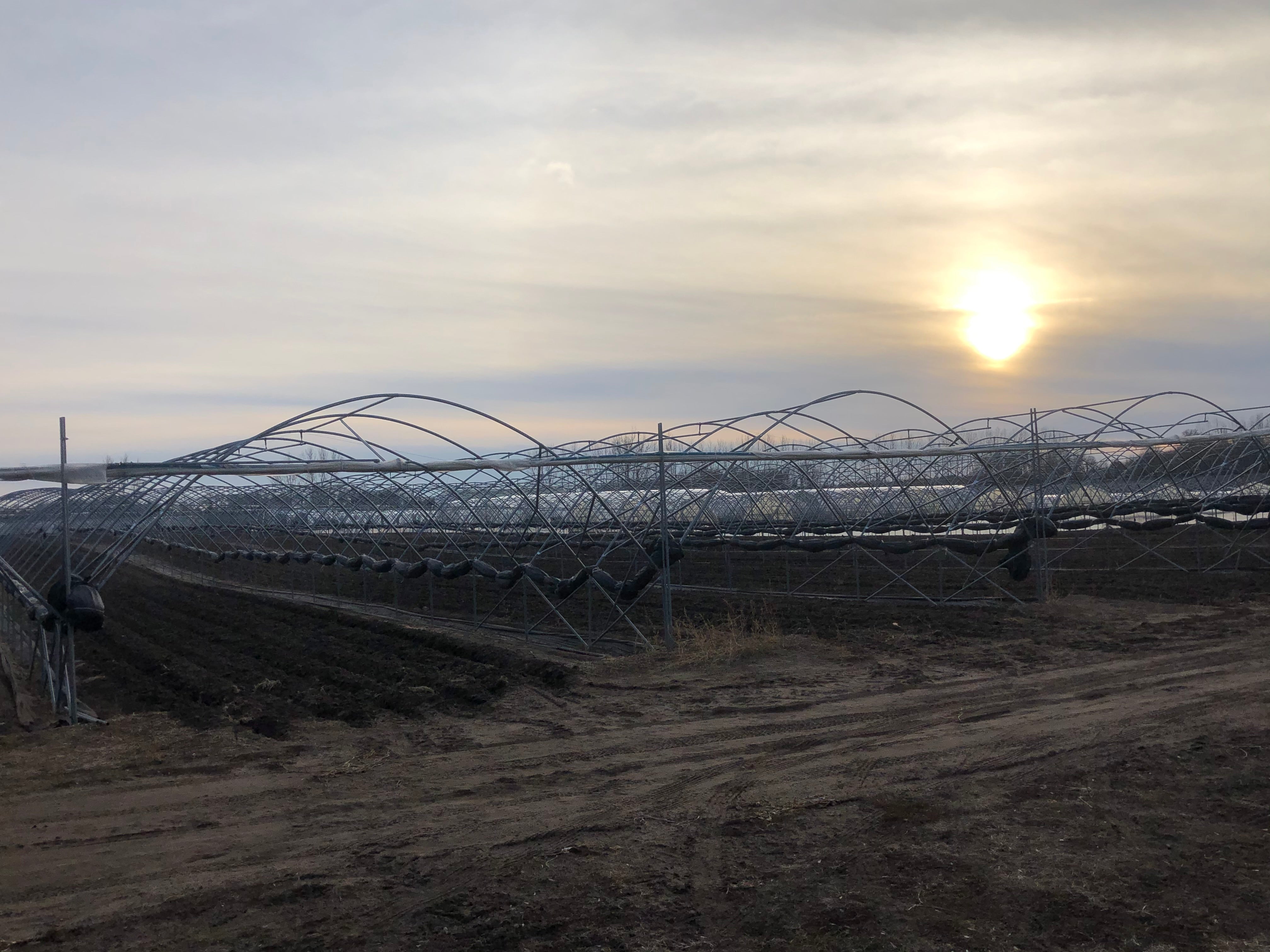 Welcoming Winter with Open Arms – Untiedt's Vegetable Farm