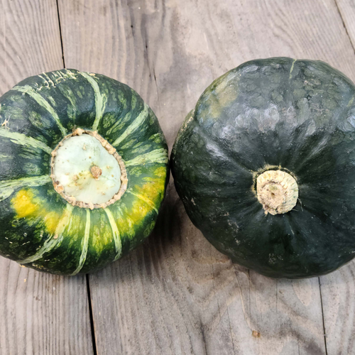 Bulk Produce – Untiedt's Vegetable Farm