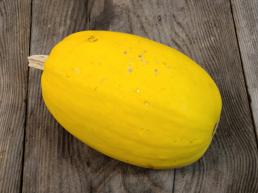 Spaghetti Squash - Bushel – Untiedt's Vegetable Farm