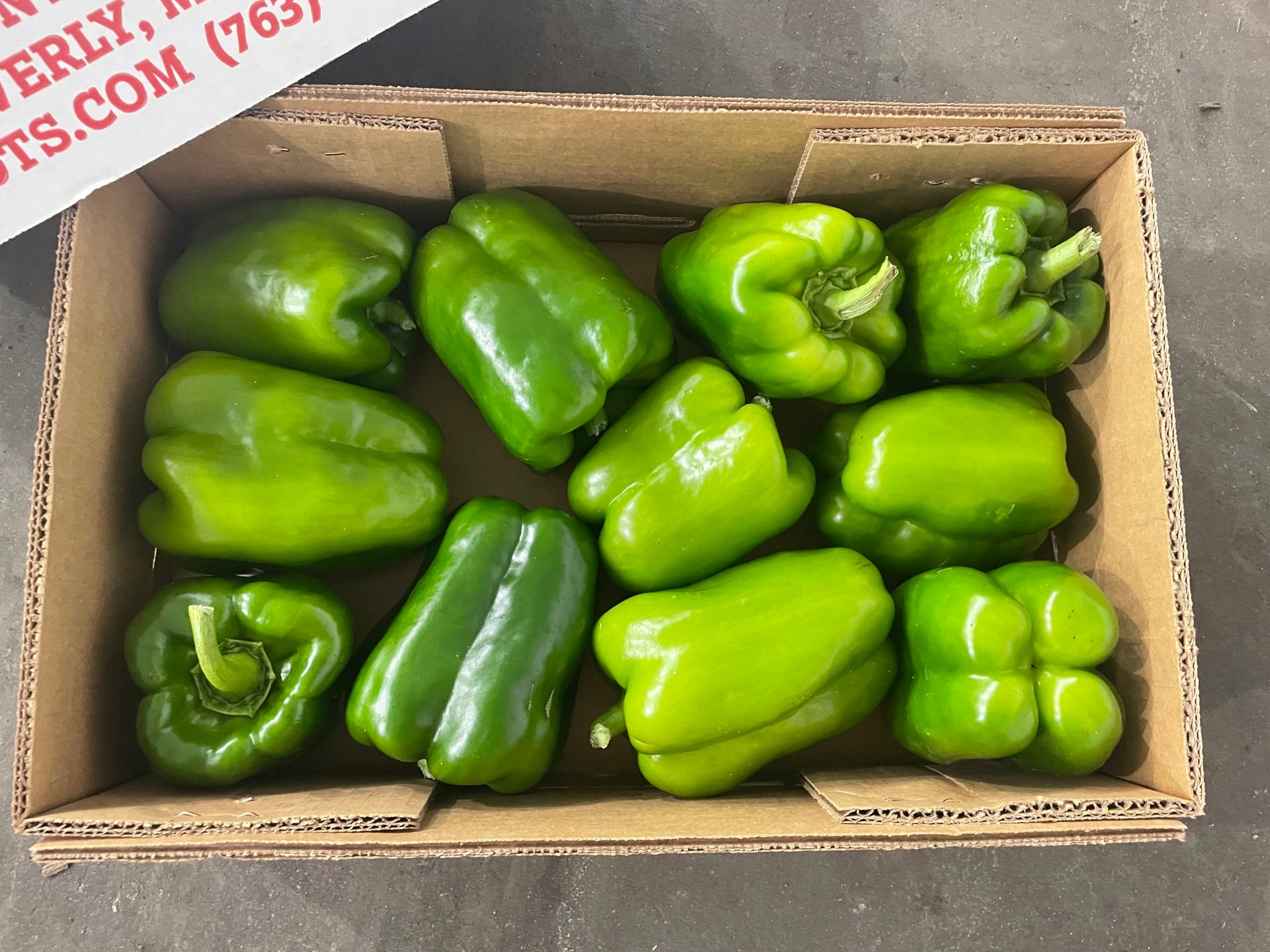 Green Peppers - 10 Count – Untiedt's Vegetable Farm